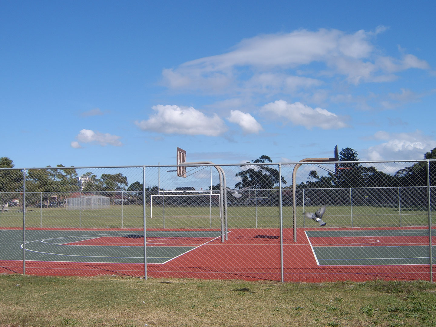 Australien New South Wales, South Sydney High School